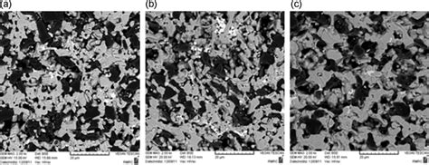 Sem Micrographs Of Zrb 2 Sic Mosi 2 Composites Sintered At 2050 • C