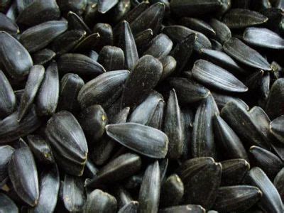 Семечки подсолнечника (неочищенные) Купить в Сочи | МегавкуС