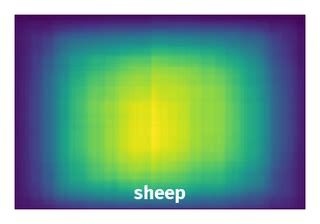 Sheep Detection Dataset Ninja
