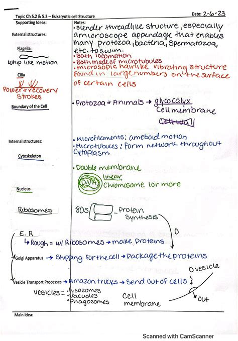 Chapter 5 Notes Date Topic Ch 5 5 Eukaryotic Cell Structure