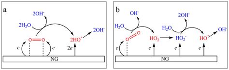 Schematic Illustration Of The Proposed Mechanisms Of The Parallel Download Scientific Diagram