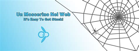 Tilde E Backtick Su Windows Un Moscerino Nel Web