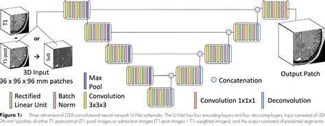 Figure 1 From Three Dimensional U Net Convolutional Neural Network For