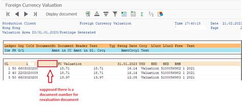 Foreign Currency Revaluation Issue Cant Generat Sap Community