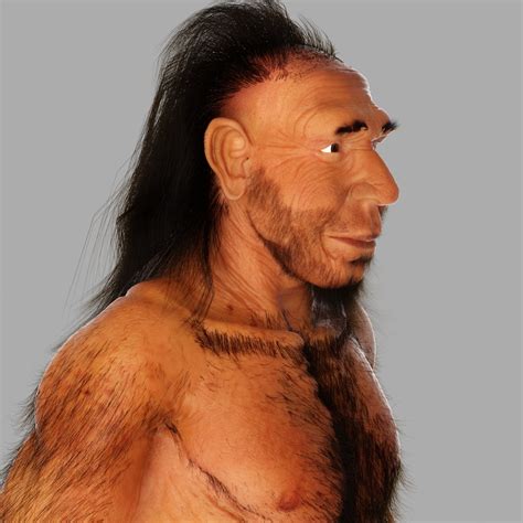 Neanderthal Male 3d Model 119 Ztl Obj Max Free3d