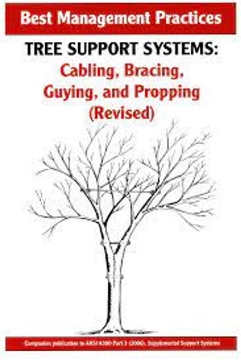Buy Best Management Practices Tree Support Systems And Cabling By Isa