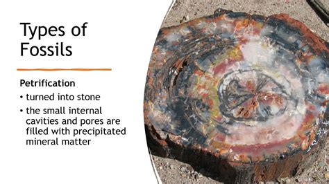 Earth Science Geologic Time And Fossils Pptx Chemistry Science