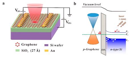 Graphene Silicon Nitride Photodetector At Alyssa Wekey Blog