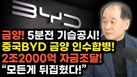🔵 금양 긴급 중국byd 금양 인수합병 2조2000억 자금조달 확정 금감원 조사 완전 뒤집혔다 조사 5분만에 종료 무조건 이 가격 찍을 수 밖에 없습니다