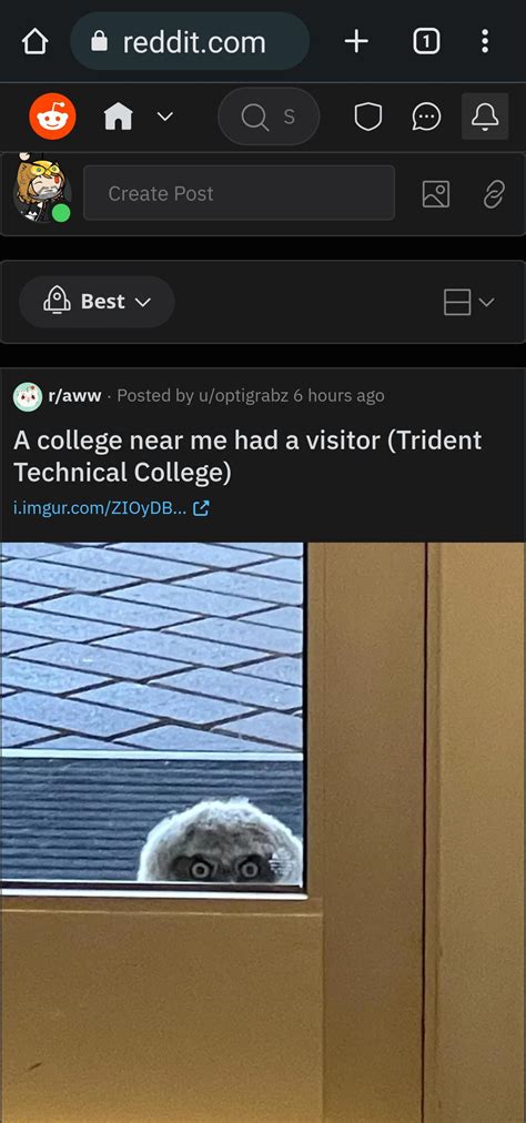 Sometimes When I Request The Desktop Version It Appears Like This I Wish It Was The Default