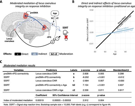 A Moderated Mediation Model With Locus Coeruleus Integrity As A Download Scientific Diagram