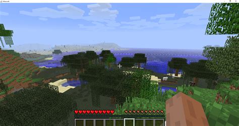 Whenever I Play Minecraft Java Without Optifine This Always Happens I M Tryna Play On 1 1