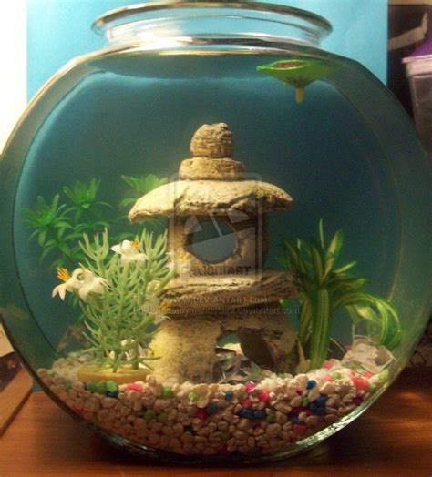 Zen Garden Aquarium Plants Rima Mcmillen