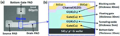 Floating Gate Igzo Synaptic Transistor Sample Blue Dotted Line