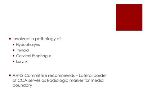 Cervical Lymph Nodes Pptx