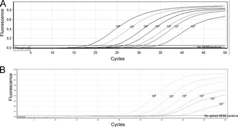 A Amplification Curves Of Blandm 1 Qpcr Assay Using Serial 10 Fold
