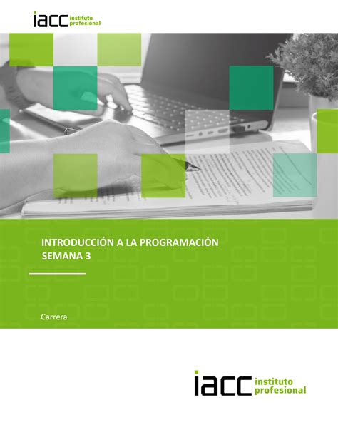plantilla evaluacion desarrollo intro a la programacion 3 ok o
