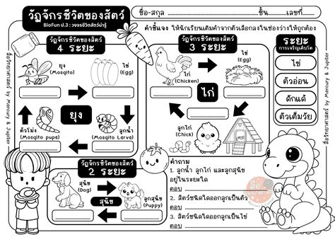 🦋 Biofun ป 3 สื่อวิทยาศาสตร์ By Mercury And Jupiter Facebook