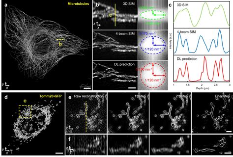 Two Practical Methods Improve Axial Resolution In 3d Super Resolution Microscopy Biotechnology