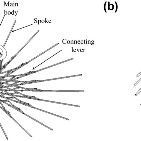 Diagram Of The A Expanded And B Folding States Download Scientific Diagram