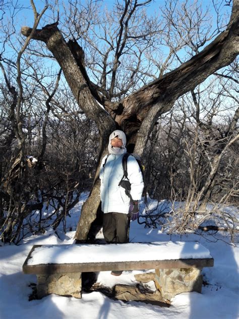 Y자 나무앞에서