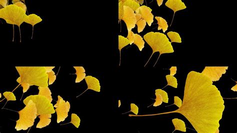 一闪而过素材一闪而过第3页大山谷图库