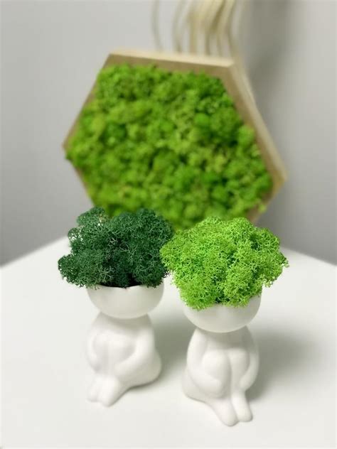 Кашпо хлопчик з мохом — ціна 225 грн у каталозі Кашпо Купити товари для дому та побуту за