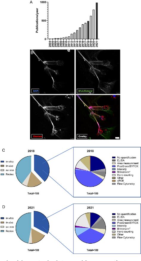 Figure 1 From Comparison Of Net Quantification Methods Based On Immunofluorescence Microscopy