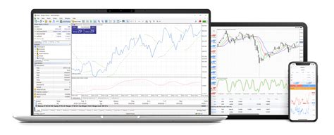 MetaTrader For Your Investors