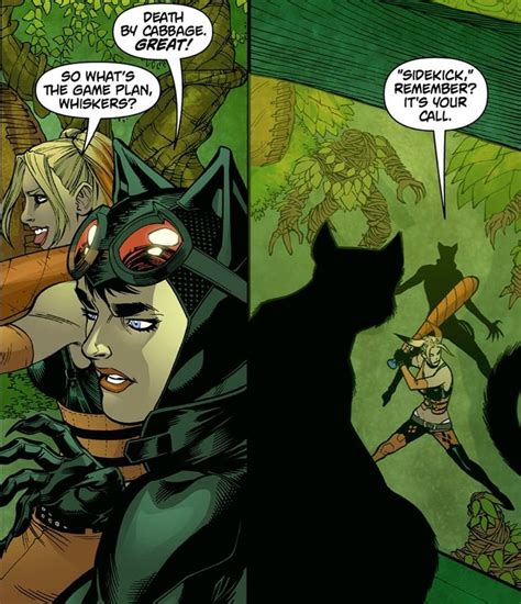 Pin By Kailynn Brianna On Gotham City Sirens Harley Quinn Catwoman Quinn