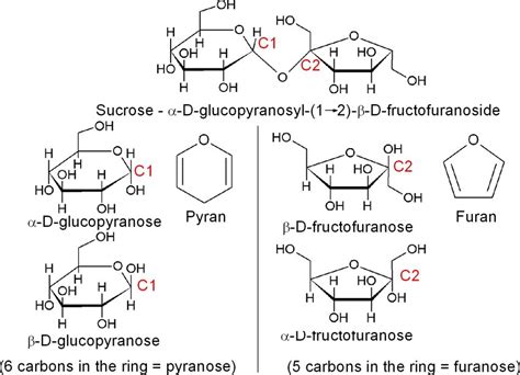 Monosaccharide Diagram Monosaccharide Over 1 209 Royalty Free