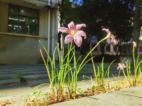 🚩非厄米pt对称光学入门 知乎 🚩非厄米pt对称光学入门 知乎