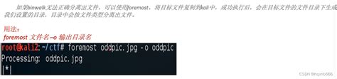 《ctf 解题技能之 Misc 基础》(上)misc综合杂项等类别 Csdn博客 《ctf 解题技能之 Misc 基础》(上)misc综合杂项等类别 Csdn博客