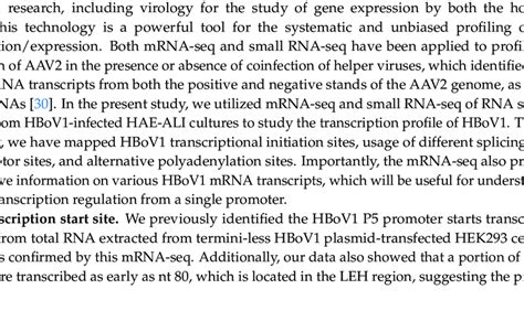 Top 20 Identified Small RNAs By Small RNA Seq Download Table