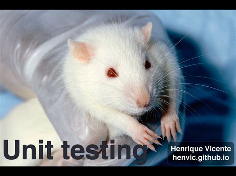 Unit Testing Speaker Deck