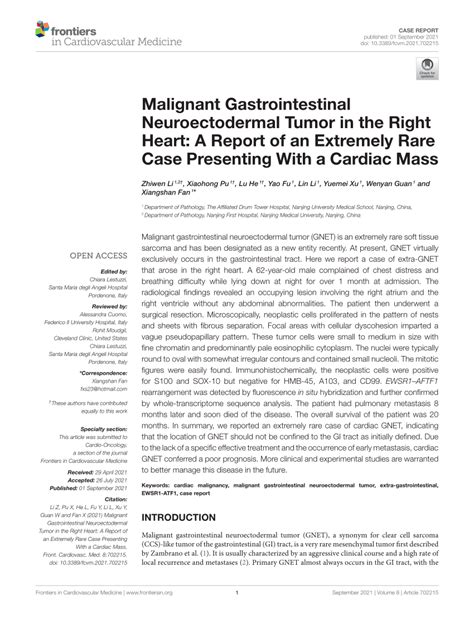 Pdf Malignant Gastrointestinal Neuroectodermal Tumor In The Right