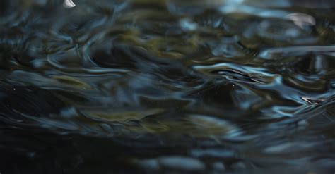 4k 가벼운 검정과 파랑 고요한 고요함 관념적인 광택이 있는 다이나믹한 달래는 대조 드라마틱한 매크로 명상적인 물 물방울 물을 튀기다 미묘한