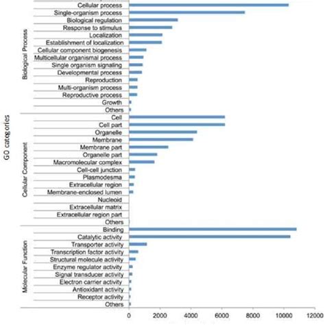 Gene Oontology Go Functional Categorization Of The Unigenes Annotated Download Scientific