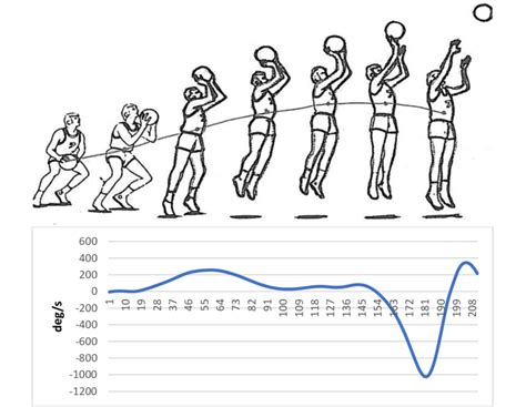 Angular Velocity Of The Elbow Joint Regarding The Different Stages Of