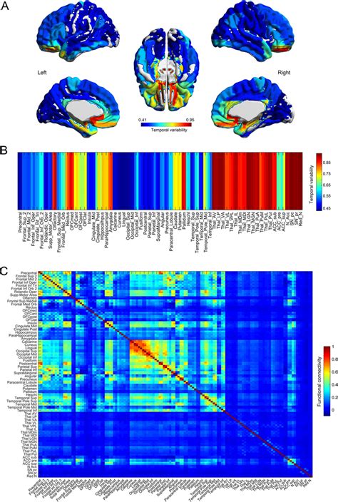 the temporal variability of functional connectivity is related to the