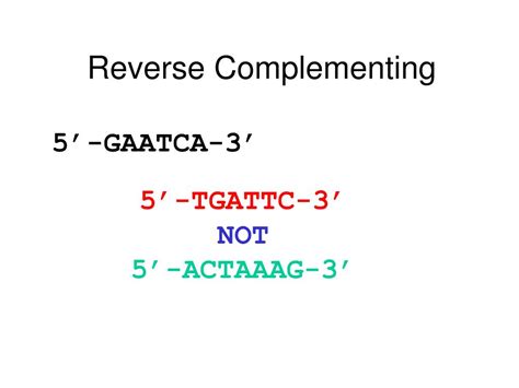 Reverse Complement