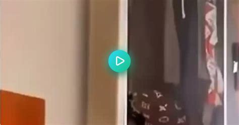 Why Jump When You Can Walk Clever Kitty Album On Imgur