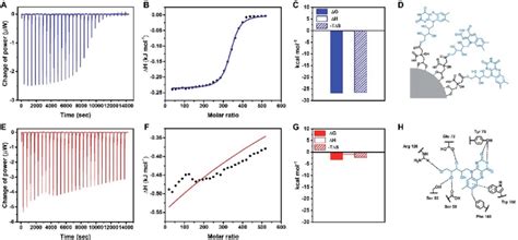 Raw ITC Data A And E Integrated Heat Plots B F And Thermodynamic Download Scientific