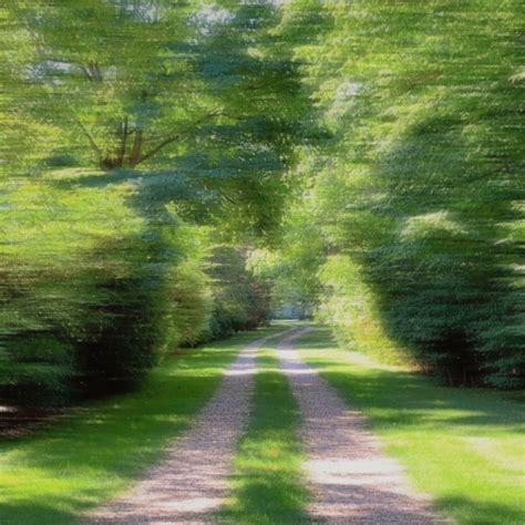 Aesthetic Nature Scenery Green Art