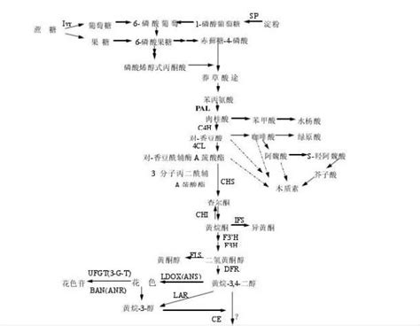 草酸怎么形成 草酸是从哪里提取的 草酸是怎么制成的 大山谷图库