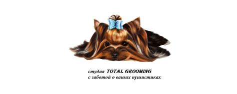 Total Grooming стрижка собак кошек выезд по СПБ Комплексный уход за домашними животными