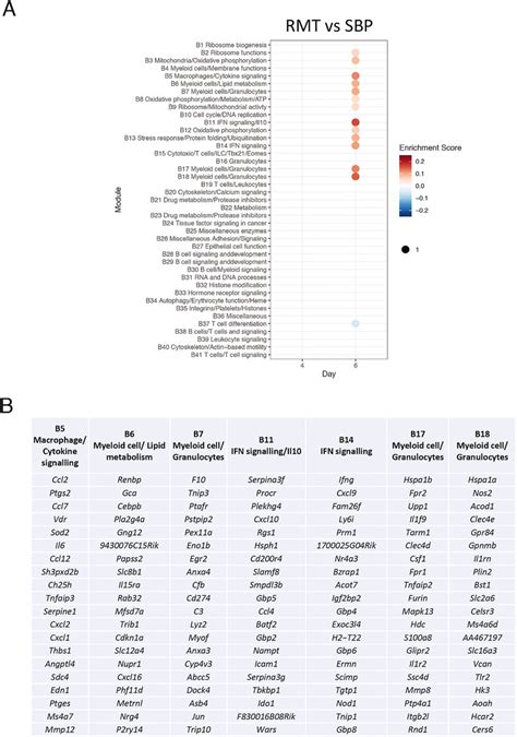 Modular Analysis Reveals A Role For Myeloid Cells And Ifnγ A Modular