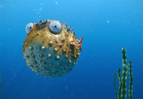 Comment Garder Un Poisson Globe Dans Votre Aquarium Soins Espèces Et Conseils Essentiels