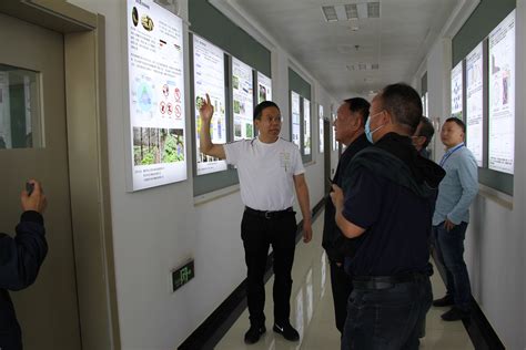 省农业农村厅左荣贵副厅长调研中药材产业 西南中药材国家工程中心
