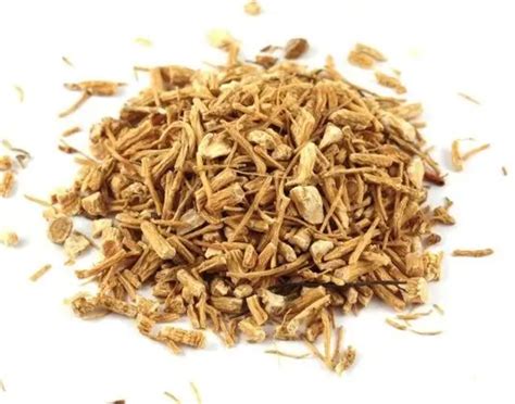 Navýšení Výkonu Erectogo Max